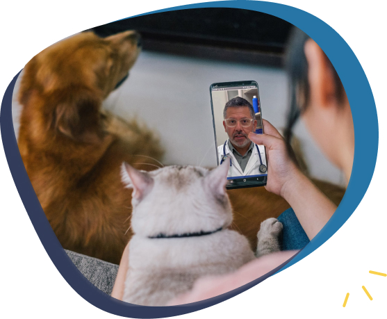 Vet Connect | Pawpots UAE